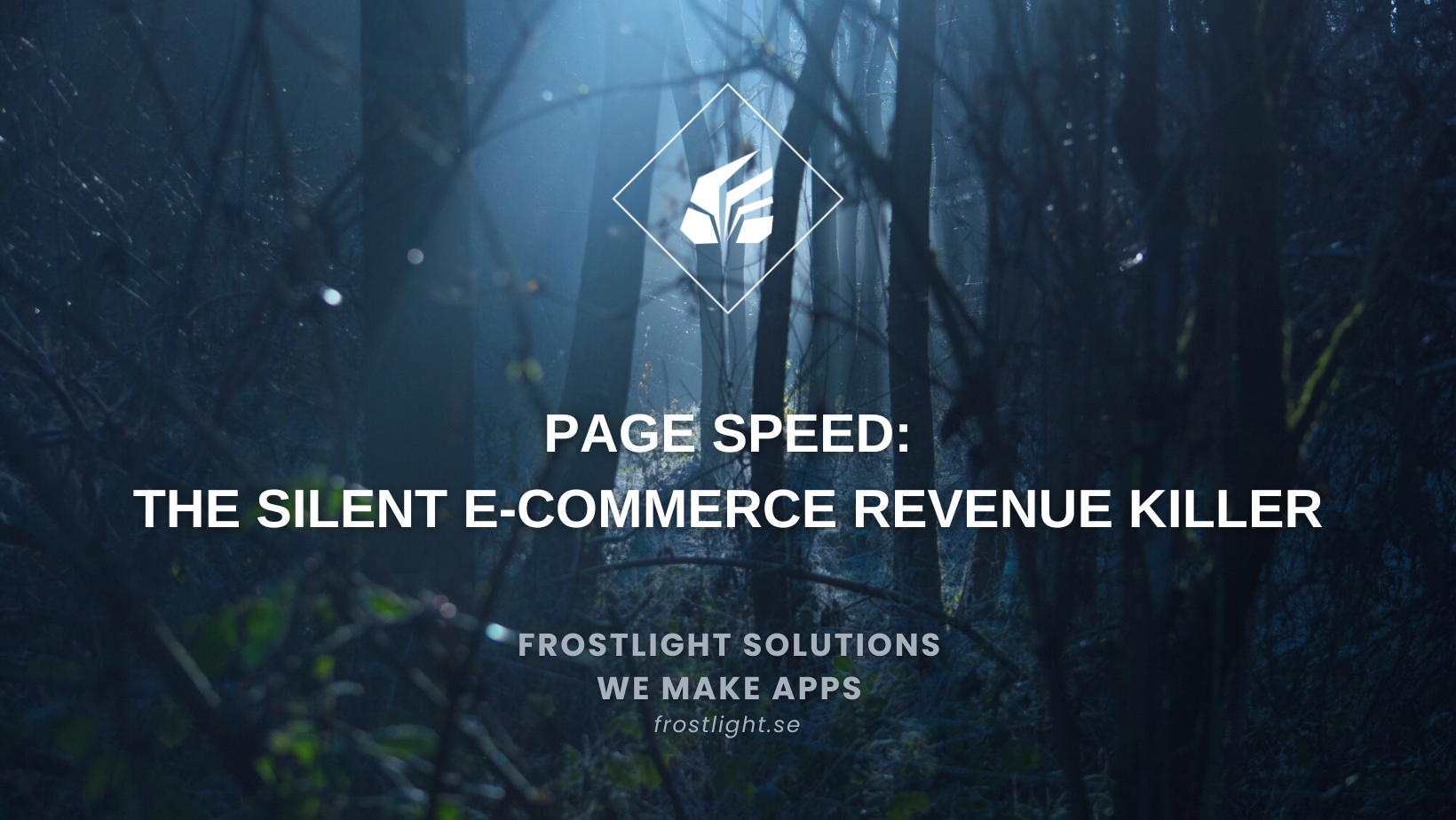 Page Speed Optimisation: Proven E-commerce Performance Driver | Frostlight